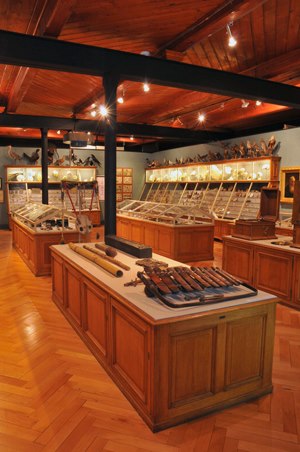 Notre histoire – Musée MUMAPS
